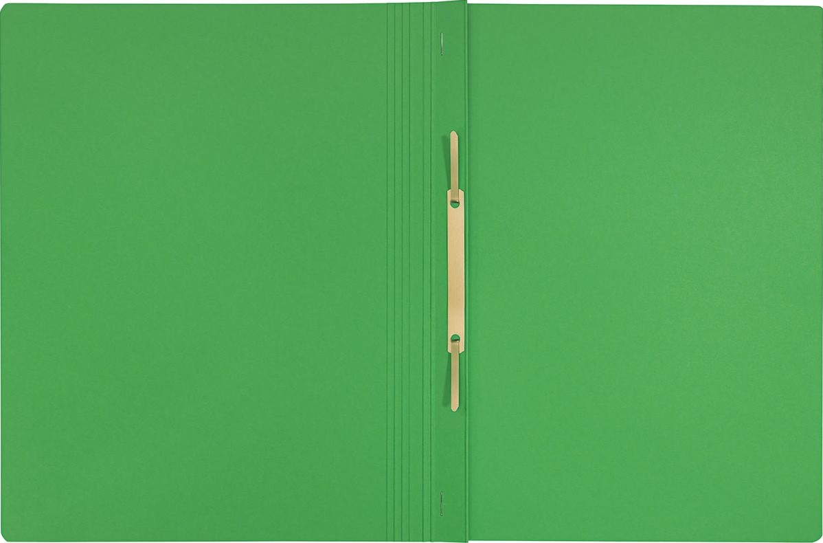 Leitz Recycle chemise à lamelle, en carton, ft A4, vert bij VindiQ Office